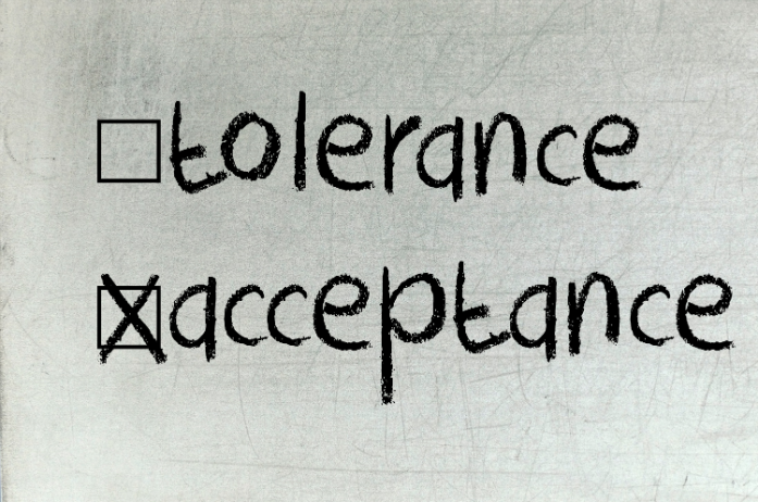 Tolerance vs Acceptance From Harlem To Harare