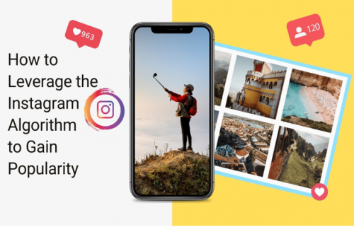 How To Leverage New Instagram Algorithm To Gain Popularity