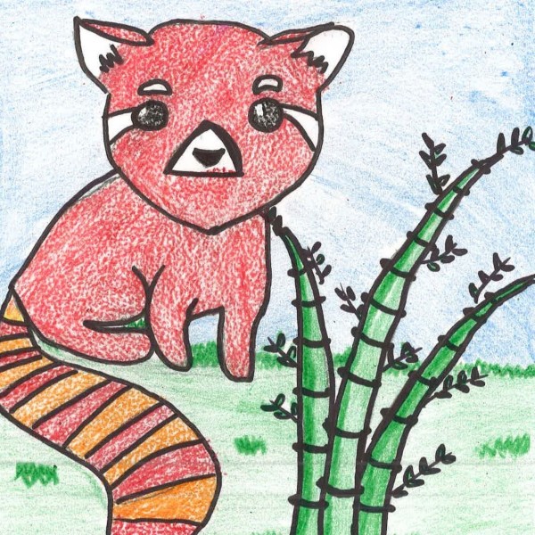 Harlem Youngsters Showcase Hope In Winning Poems And Artwork In PAL 2021 Poetry Anthology