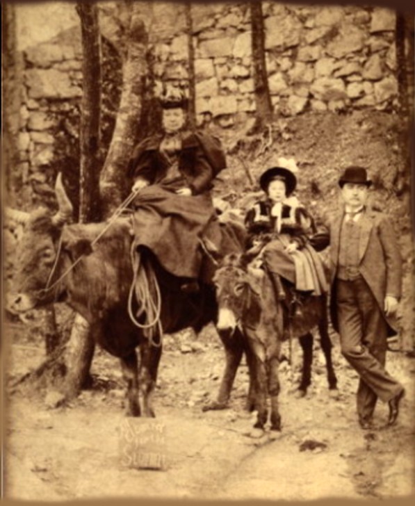 Harlem's Thomas Francis Gilroy Friend Of The Aristocracy And The 89th ...