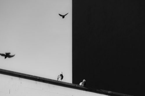 What Are The Key Components Of An Impactful Poster Design?