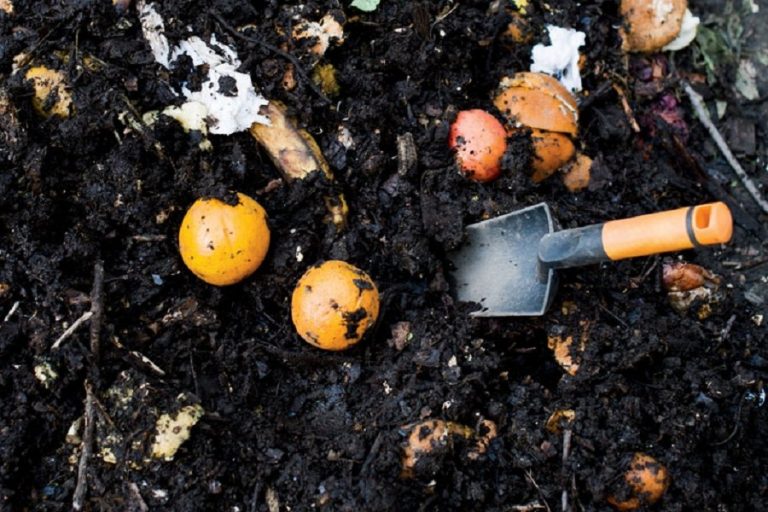 Mayor Adams Announces Roadmap For Nation's Largest Compost Program