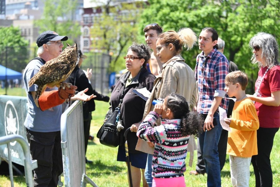 Check Out The Live Music & Animals And Improving Your Health At The Fort
