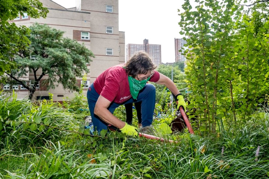 Check Out The Live Music & Animals And Improving Your Health At The Fort