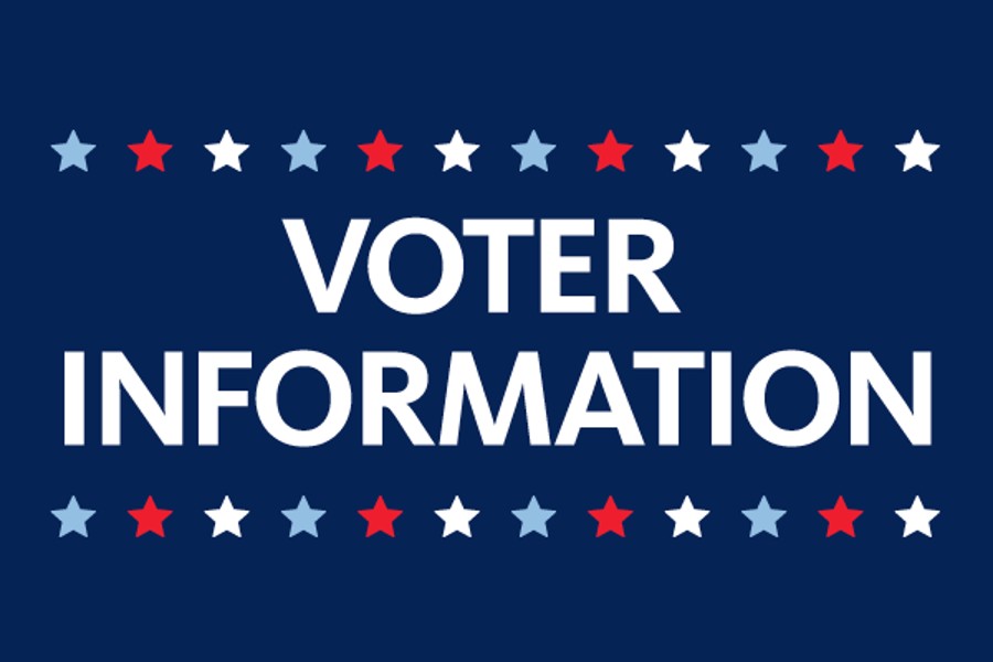 Vote Baby Vote: Register To Vote In The NY State Primary Election ...