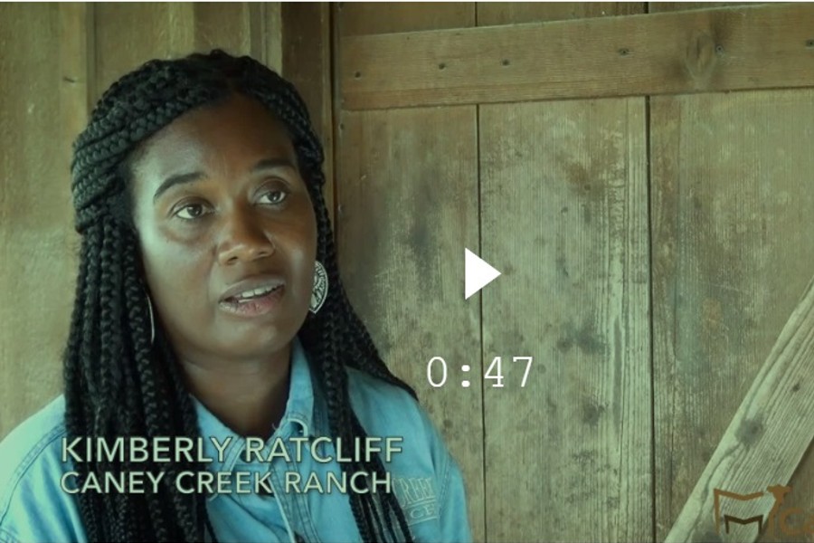 Why Accurate Rainfall Tracking Is Essential For Running A Successful Ranch