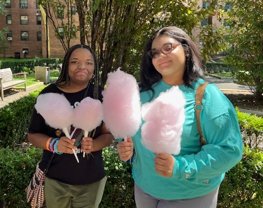 The Best Day, Family Day Celebration At A&E's Riverton Square In Harlem