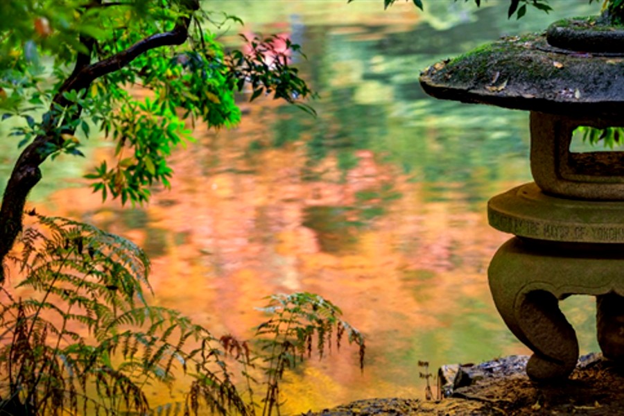 New York 2023 Peace Symposium: A Day Of Peace, Art, And Nature At Japan ...