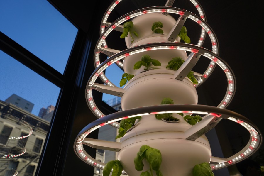 Adams Administration Secures Funds To Revamp NYC School Farm-To-School Programs