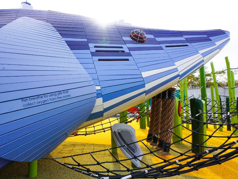 Have A Whale Of A Good Time As Pier 26 Unveils Science Playground In ...