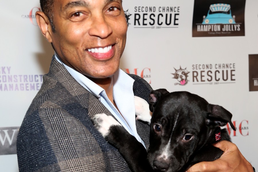 NYC Second Chance Rescue Hosts 4th Annual Rescue Ball Gala With Don ...