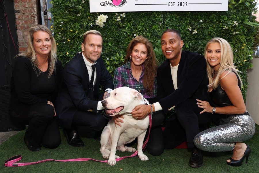 NYC Second Chance Rescue’s Brunch: Where Fab Meets fur, With Don Lemon ...