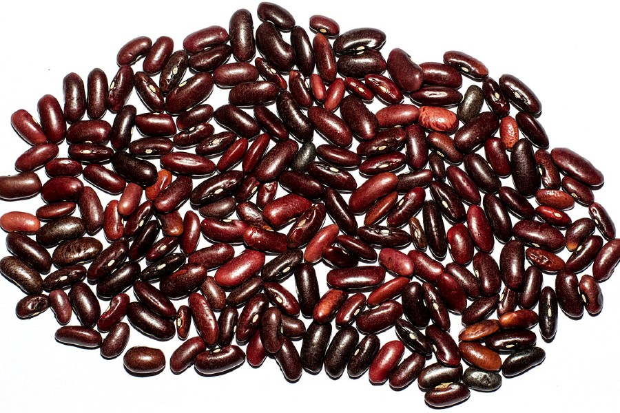 Bean There, Done That: Why Beans Are Your New Nutritional Superheroes