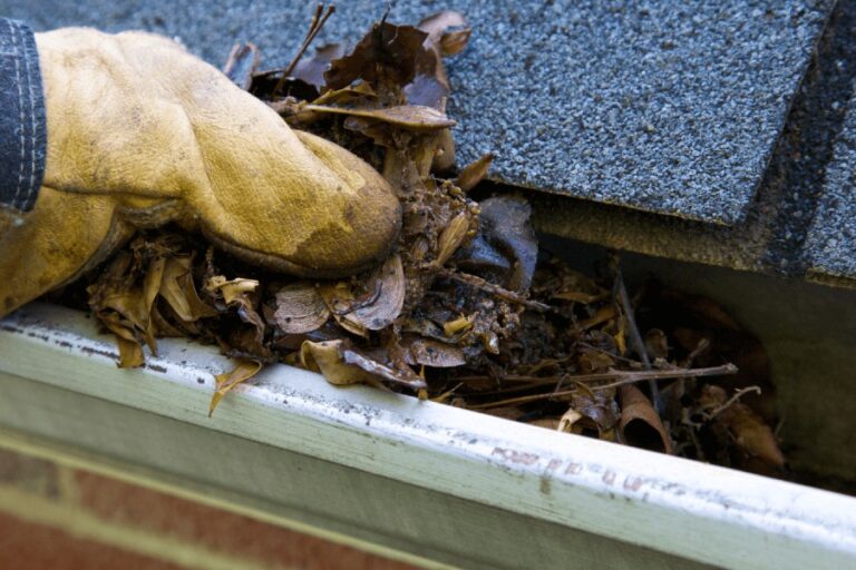 The Most Common Gutter Problems And How To Fix Them
