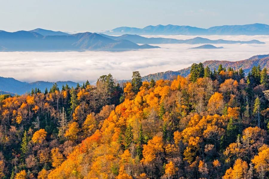 Charles Manuel "Sweet Daddy" Grace, Harlem NY 1881 - 1960 (Video)