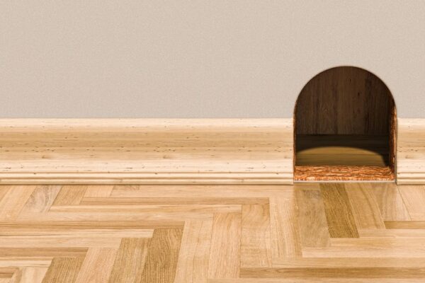 Mice Infestation In Walls? Signs, Causes, And How To Remove Them
