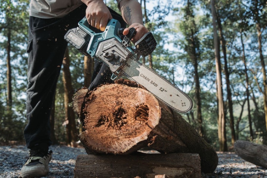 Mini Chainsaw: A Complete Guide For Homeowners And Gardeners