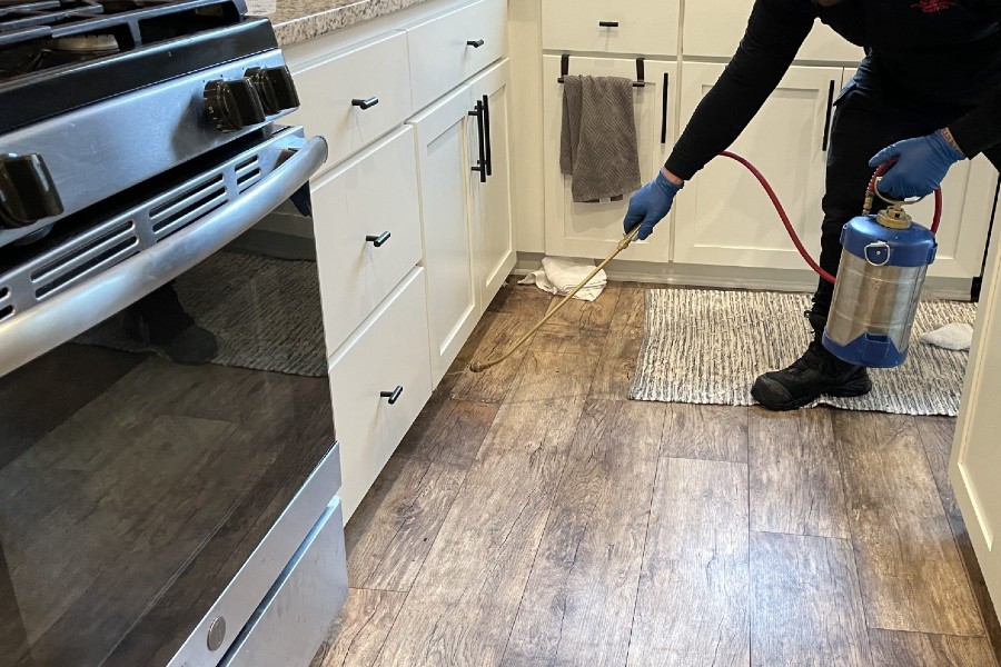 10 Ways To Protect Your Hardwood Pallets From Pests