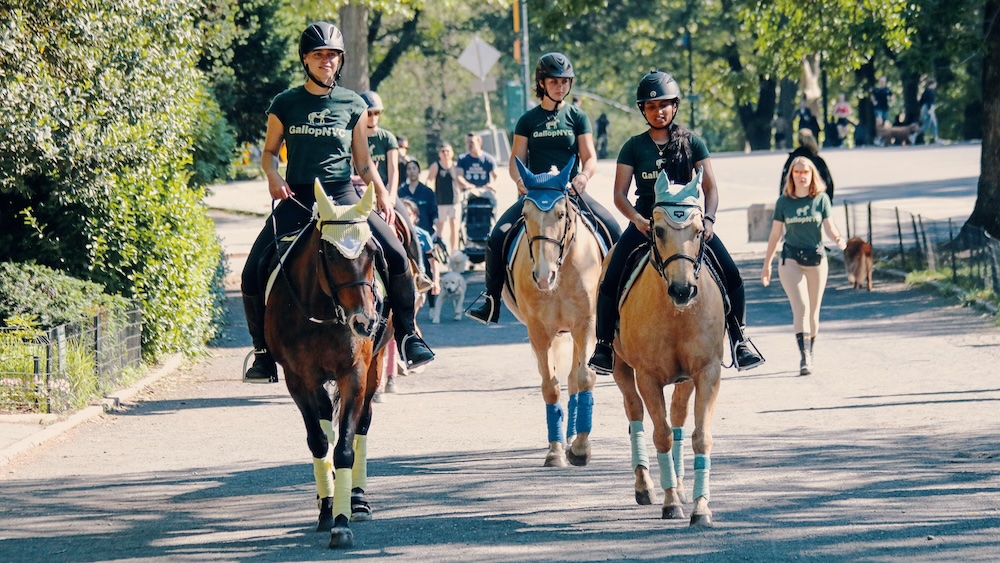 GallopNYC Brings Horses, Healing, And Joy To Central Park