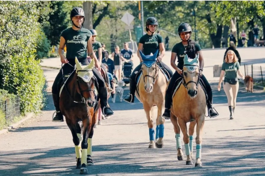 Best Horseback Riding Destinations In The U.S.