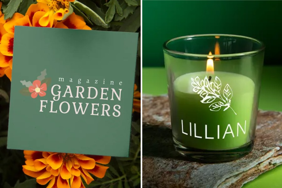 Chester Himes, The Award Winning Harlem Detective Author, 1909-1984