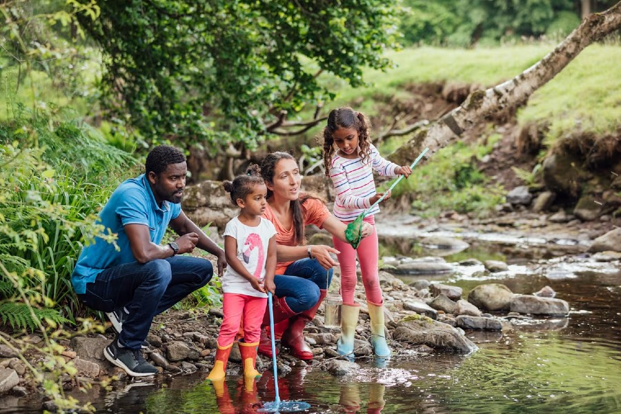 Creative Ways To Care For Trees — And Help Save Plants