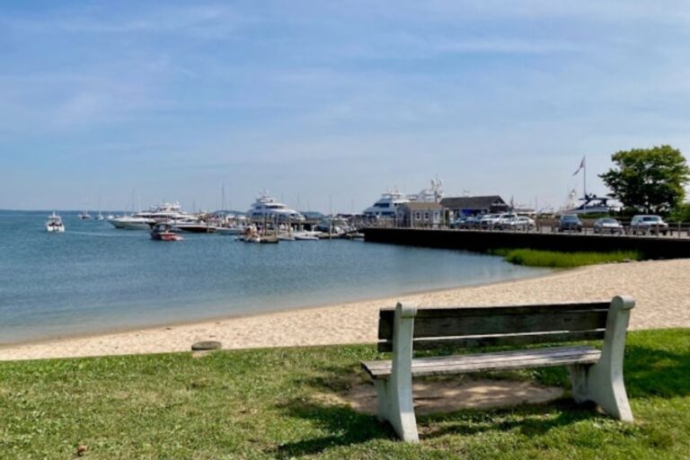 Harlem Legendary Howard "Sandman" Sims 1917 – 2003 (Video)