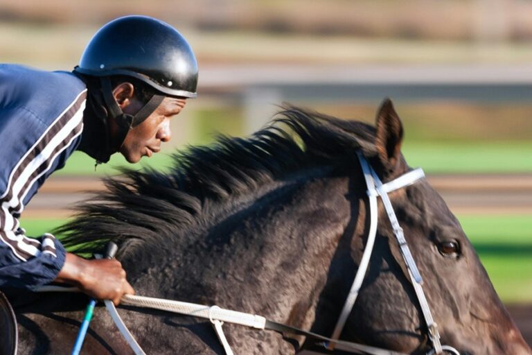 The Untold History Of Black Jockeys In Horse Racing Lifestyle And Culture